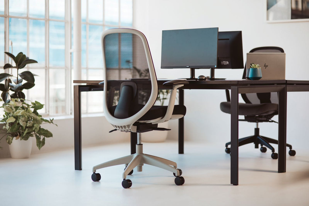 Ergonomic Chair Buying Guide (2026) | Top Tips & Best Models – Sit Back ...